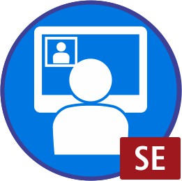 TransModeler SE Custom Services & Support (1-Hour) | Caliper Store